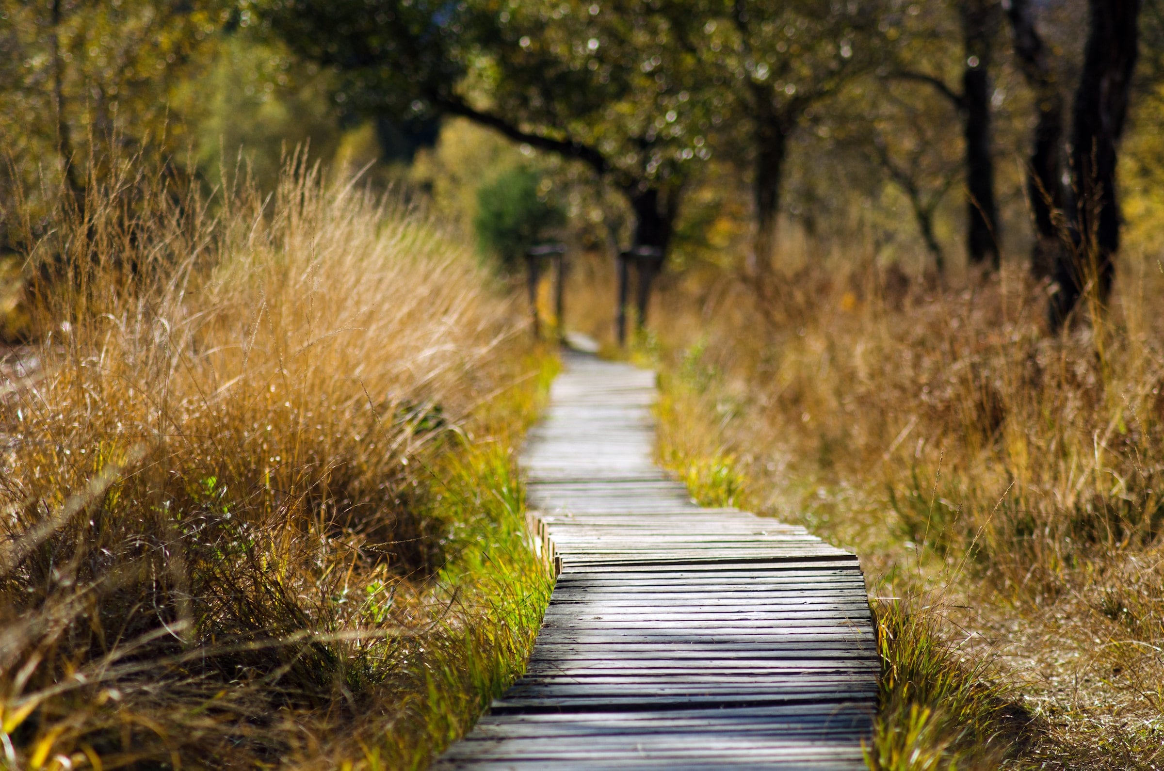 Guest Post: Wayfinding Academy - Camp Glen Brook
