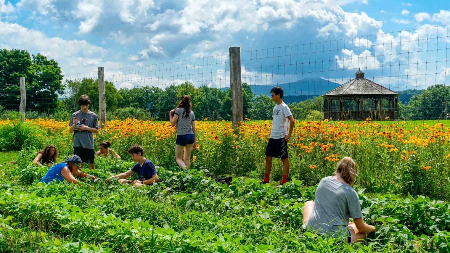 Why Camp Glen Brook? - Camp Glen Brook