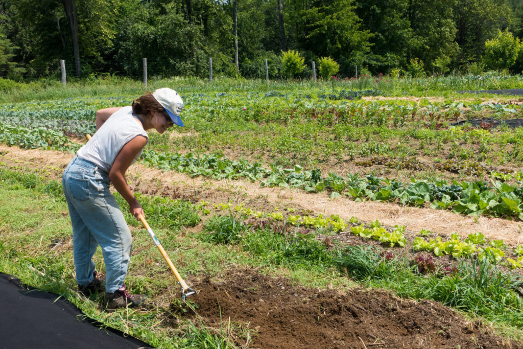 Assistant Farm Manager - Open Positions - Camp Glen Brook