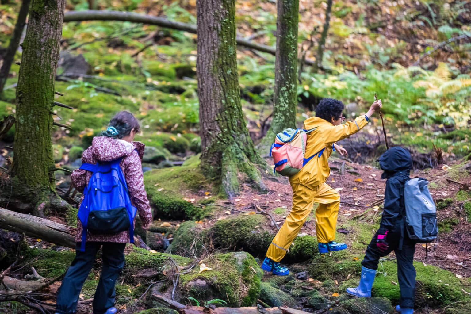 WSGC 5th Grade Botany Trip Photos - Camp Glen Brook
